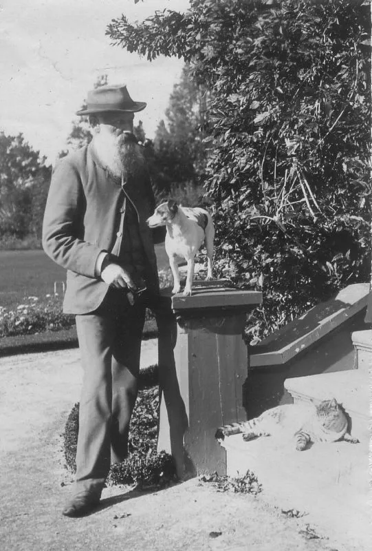 William Nelson | Record | DigitalNZ