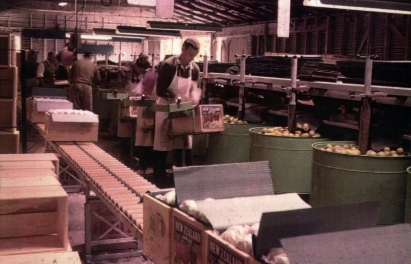 Packing Shed | Record | DigitalNZ