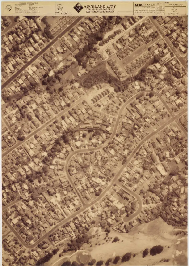 Auckland 29-21 [Mount Roskill] | Record | DigitalNZ