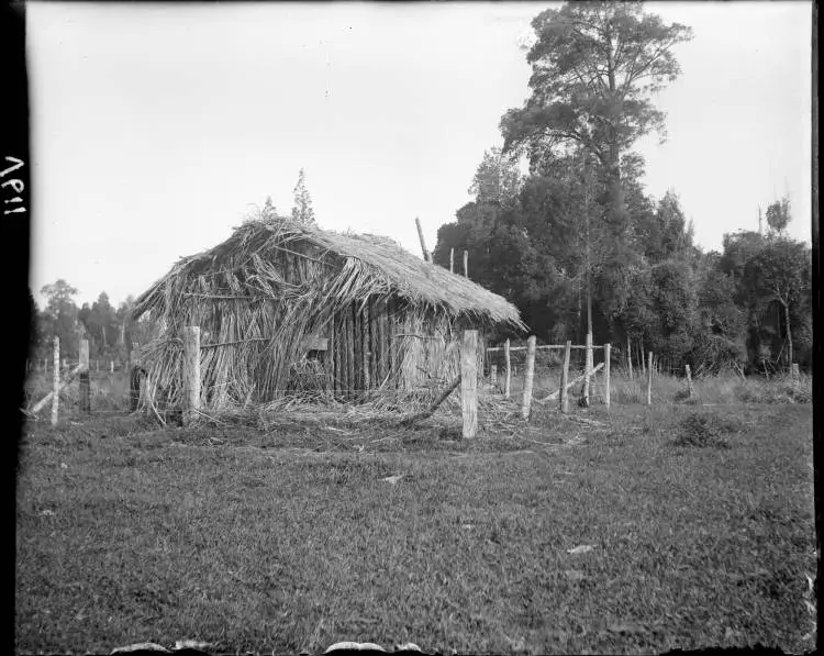 Raupo hut in the Waikato, 1905 | Record | DigitalNZ
