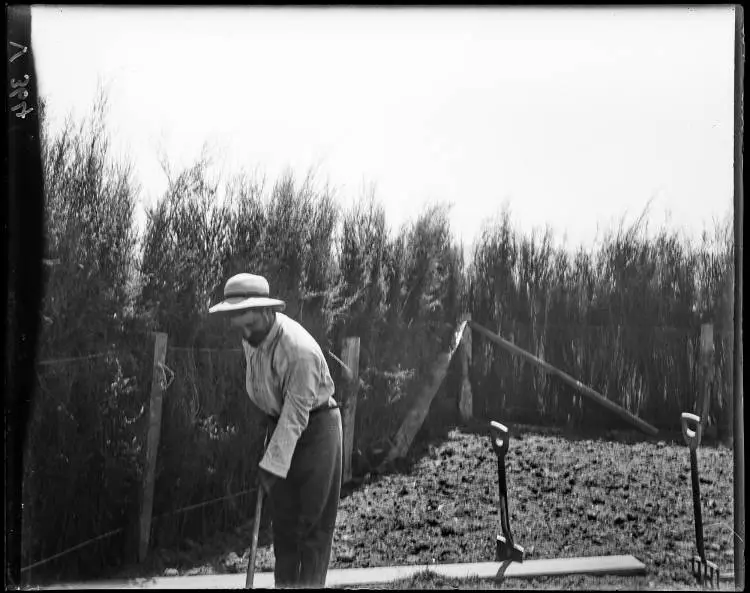 Edward Vaile at Broadlands, 1907 | Record | DigitalNZ