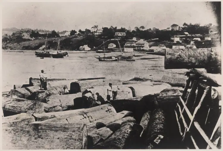 Kauri logs on the Onehunga foreshore, 1882 | Record | DigitalNZ
