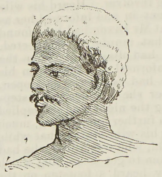 The Samoan chief Seumanu | Record | DigitalNZ