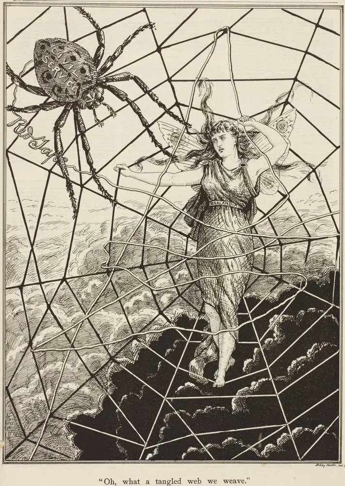 Oh, what a tangled web we weave | Record | DigitalNZ