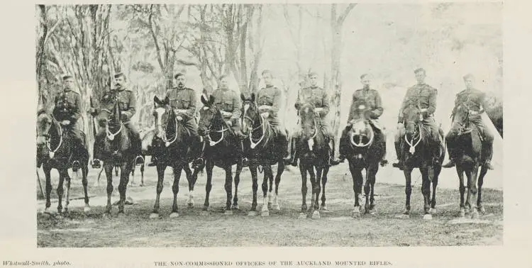 The non-commissioned officers of the Auckland Mounted Rifles | Record ...