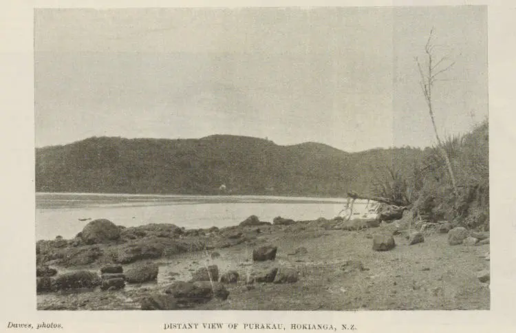 Distant view of Purakau, Hokianga, N.Z. | Record | DigitalNZ