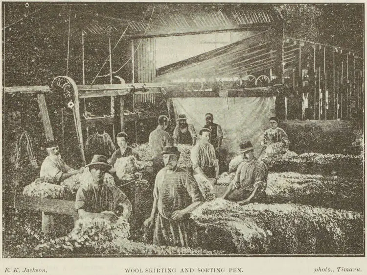 Wool skirting and sorting pen | Record | DigitalNZ