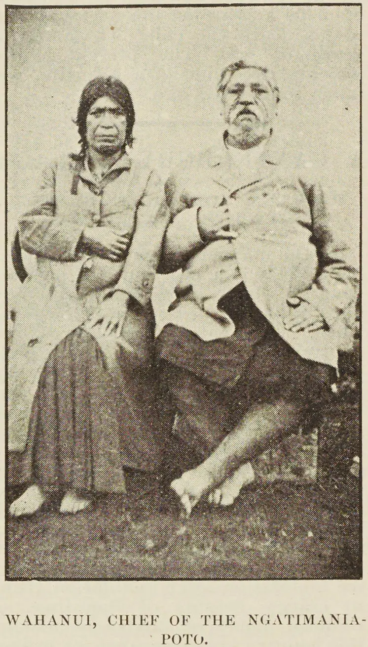 Wahanui, Chief of the Ngāti Maniapoto | Record | DigitalNZ