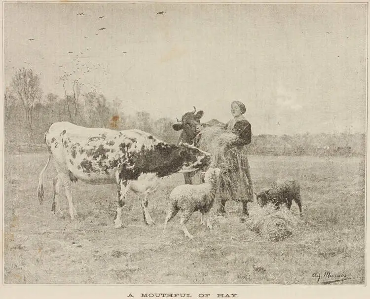 A mouthful of hay | Record | DigitalNZ