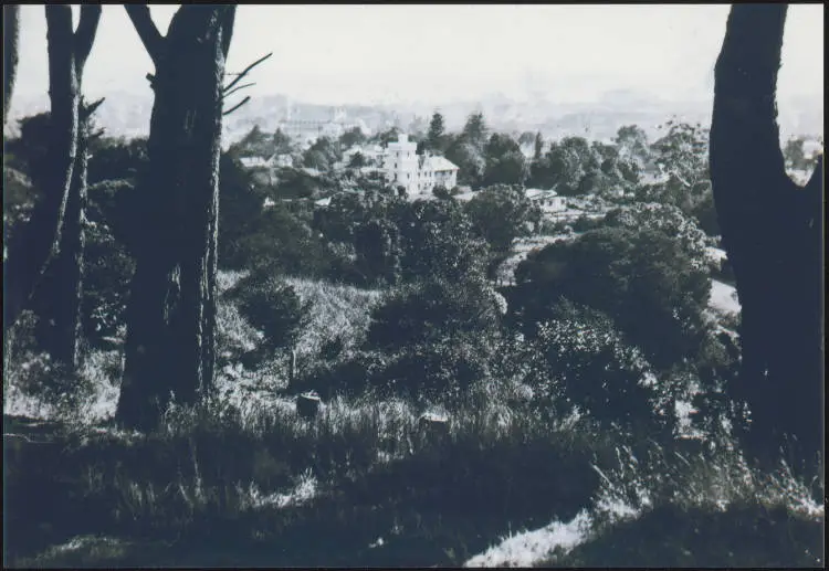 Firth's Castle (Clifton House), Epsom | Record | DigitalNZ