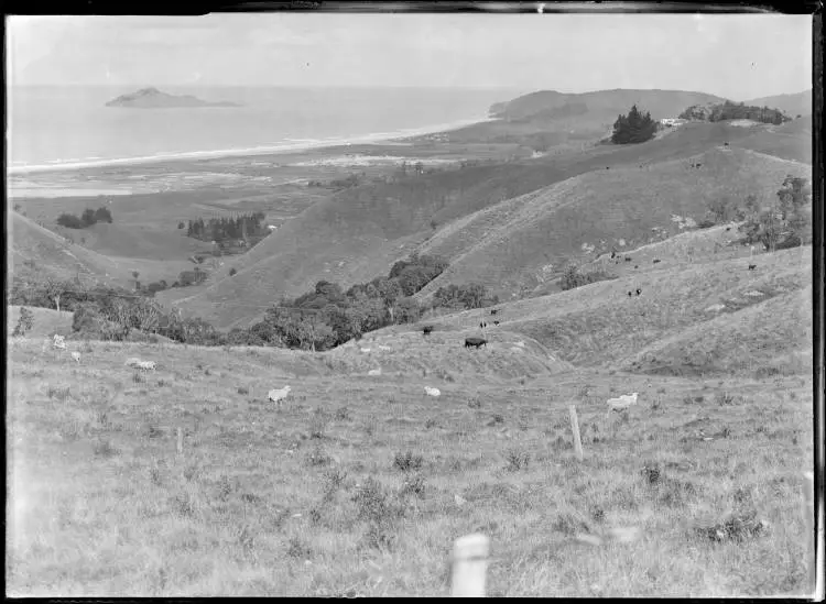 Waimarama Beach, Waimārama, 1936 | Record | DigitalNZ