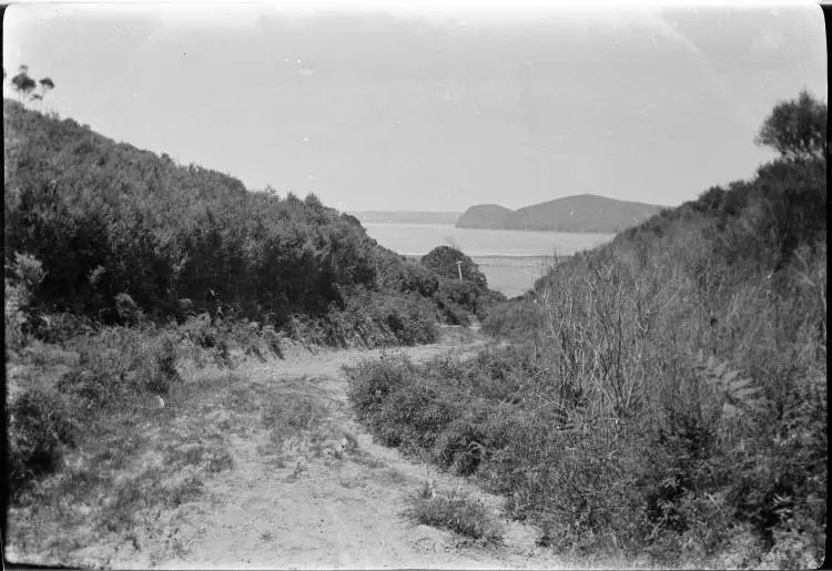 Beach track | Record | DigitalNZ