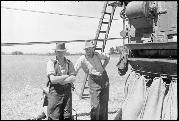 Hay baling | Record | DigitalNZ