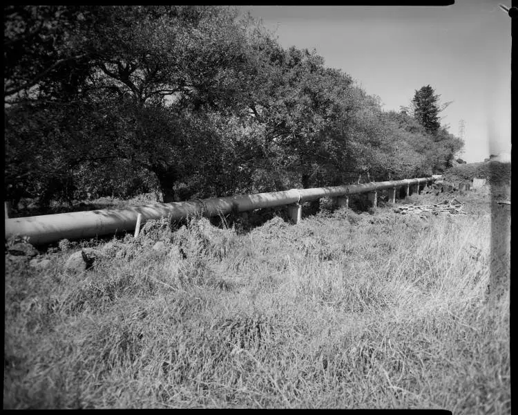 Pipe bridge | Record | DigitalNZ