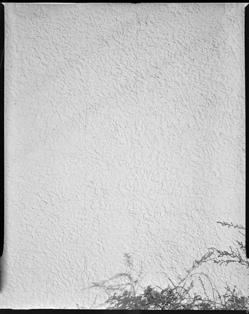 Building damage inspection | Record | DigitalNZ