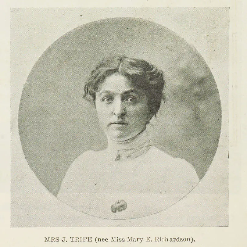 Mrs J. Tripe | Record | DigitalNZ