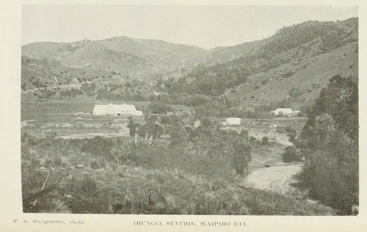 Waipiro Bay, East Coast | Record | DigitalNZ