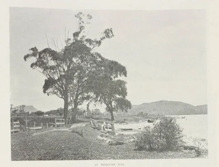 At Mercury Bay | Record | DigitalNZ