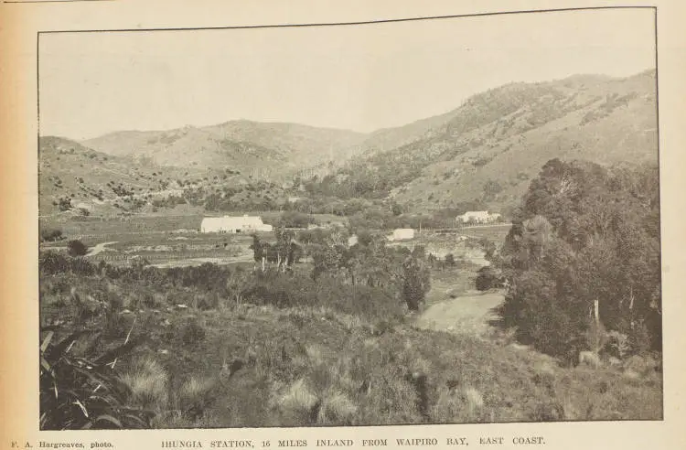 Ihungia Station, 16 miles inland from Waipiro Bay, East Coast | Record ...