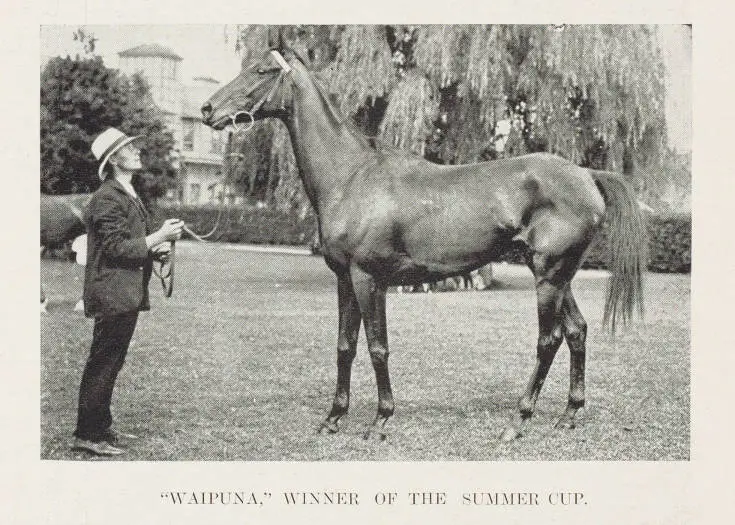 'Waipuna,' winner of the Summer Cup | Record | DigitalNZ