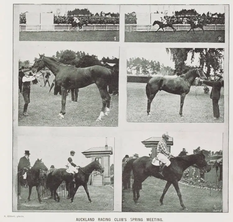 Auckland Racing Club's spring meeting | Record | DigitalNZ