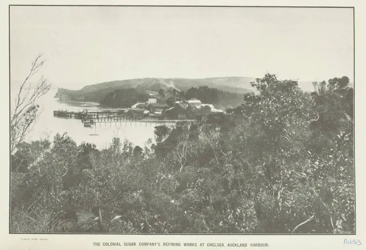 The Colonial Sugar Company's refining works at Chelsea, Auckland ...
