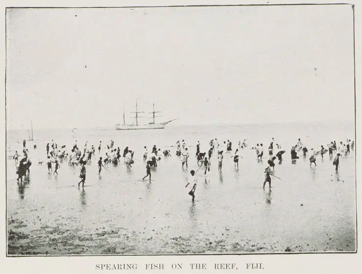 Spearing fish on the reef, Fiji | Record | DigitalNZ