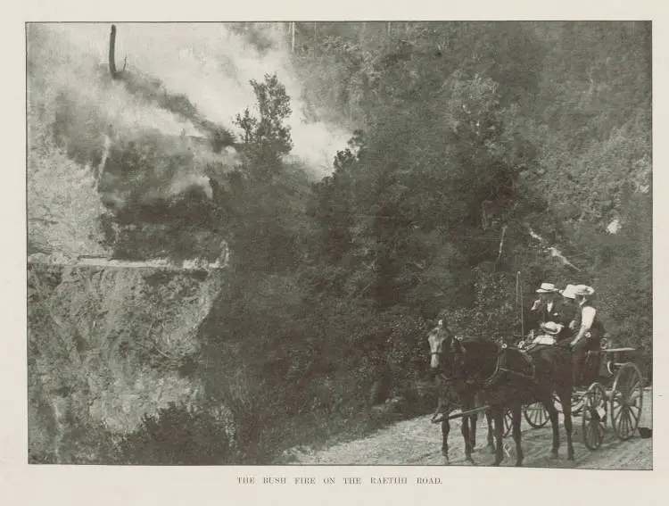 The bush fire on the Raetihi road | Record | DigitalNZ