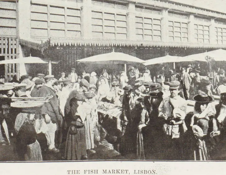 The fish market, Lisbon | Record | DigitalNZ