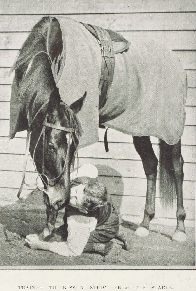Trained to kiss - a study from the stable | Record | DigitalNZ
