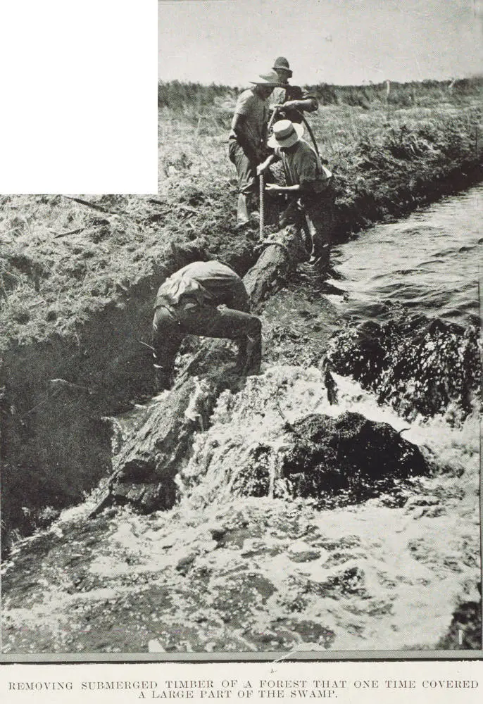 Transforming the Piako | Record | DigitalNZ