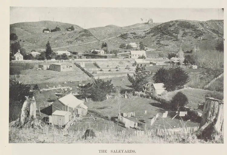 The saleyards | Record | DigitalNZ