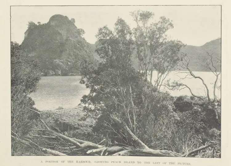 A portion of the Whangaroa Harbour, showing Peach Island to the left of ...