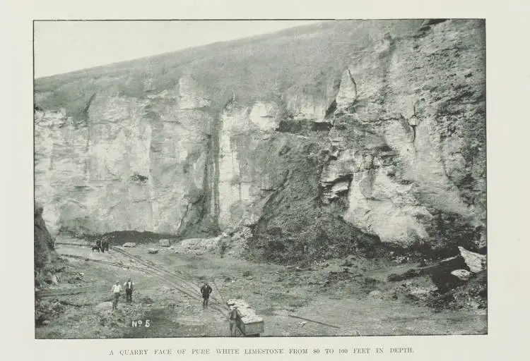 A quarry face of pure white limestone from 80 to 100 feet in depth ...