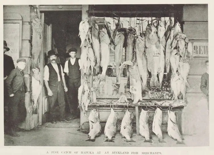 A fine catch of Hapuka at an Auckland fish merchant's | Record | DigitalNZ