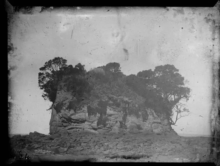 The Tor at Torbay | Record | DigitalNZ