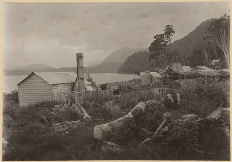 Te Oneroa, Preservation Inlet | Record | DigitalNZ