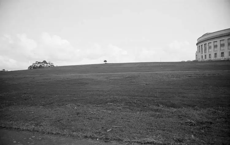 Titoki Street, Auckland Domain, Parnell, 1964 | Record | DigitalNZ