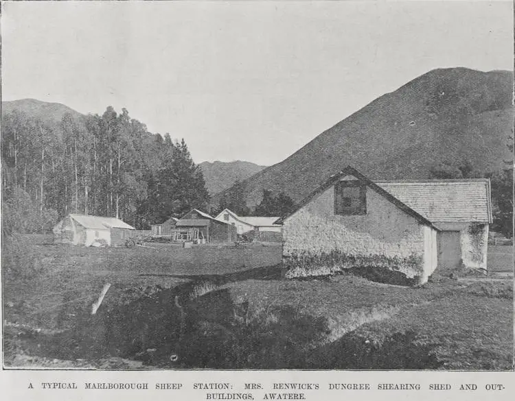 A typical Marlborough sheep station: Mrs Renwick's dungree shearing ...