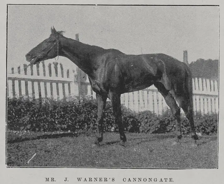Mr J Warner's Cannongate | Record | DigitalNZ