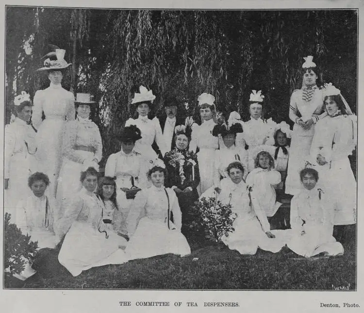 The Committee of tea dispensers | Record | DigitalNZ