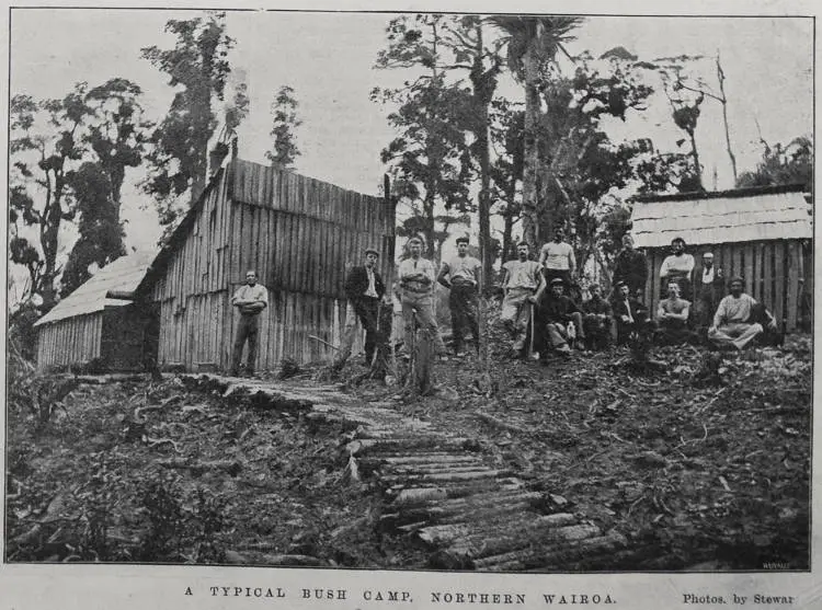 A typical bush camp, Northern Wairoa | Record | DigitalNZ