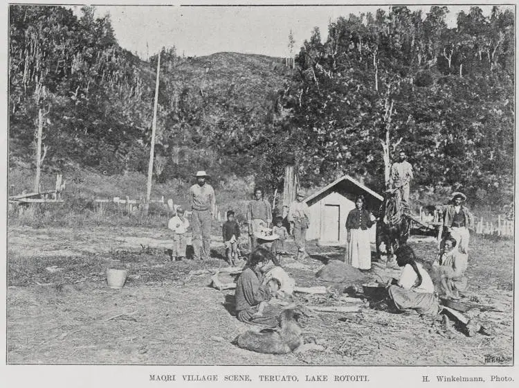 Maori Village Scene, Teruato, Lake Rotoiti | Record | DigitalNZ