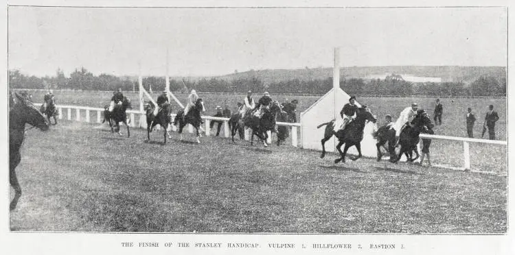 The finish of the Stanley handicap at the Takapuna Jockey Club's spring ...