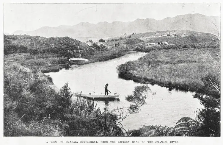 View of Omanaia settlement from the eastern bank of the Omanaia River ...