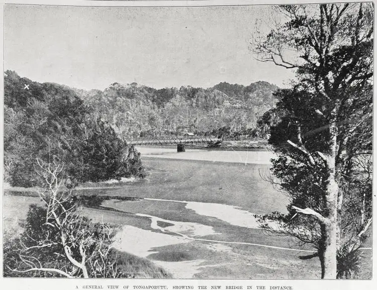Tongaporutu with the new bridge over the Tongaporutu River | Record ...
