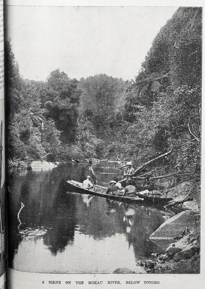 A scene on the Mokau River below Totoro | Record | DigitalNZ