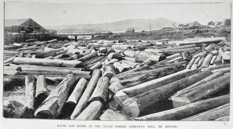 Kauri log booms at the Kauri Timber Mill, Te Kopuru | Record | DigitalNZ