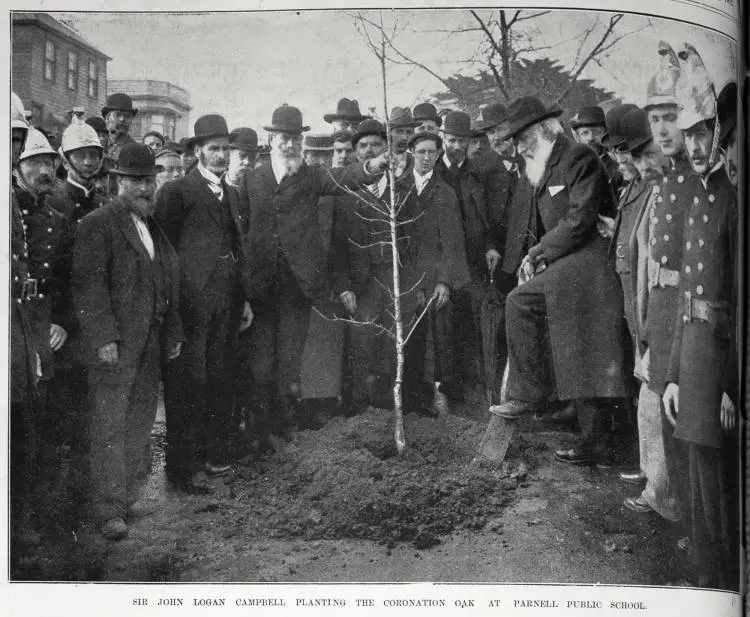 Sir John Logan Campbell planting the coronation oak tree at Parnell ...