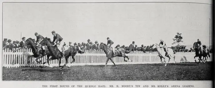 The first round of the hurdle race: Mr H Moody's horse 'Tim' and Mr ...
